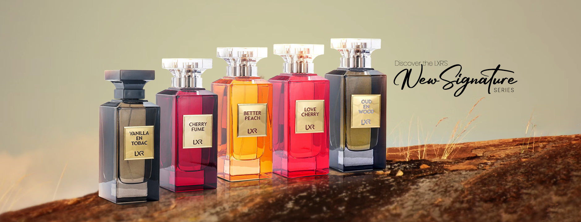 Perfumecity | A City of Fragrances – Perfume City